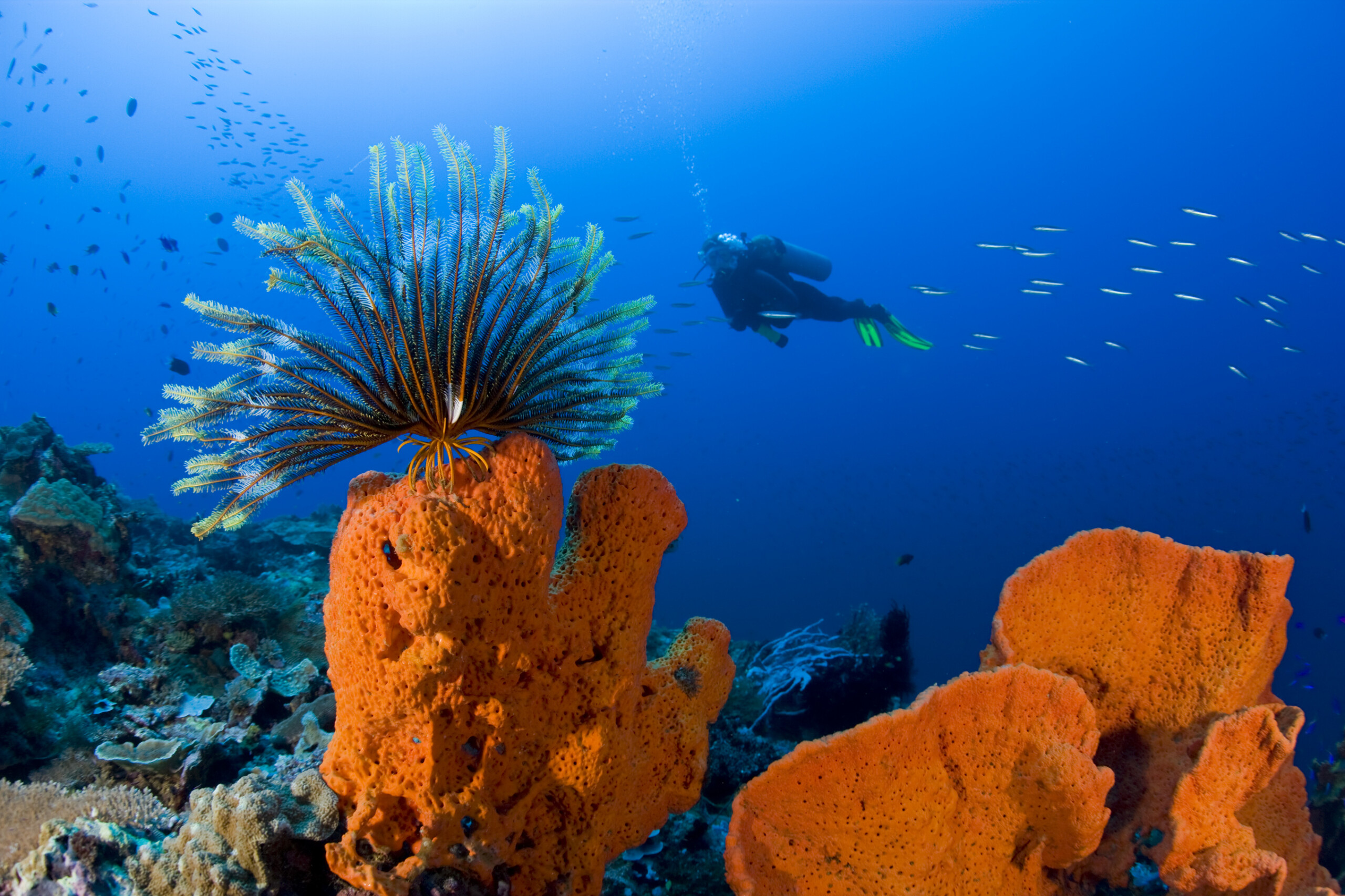 PPP Framework Policy – PPP Centre Papua New Guinea | Public Private ...